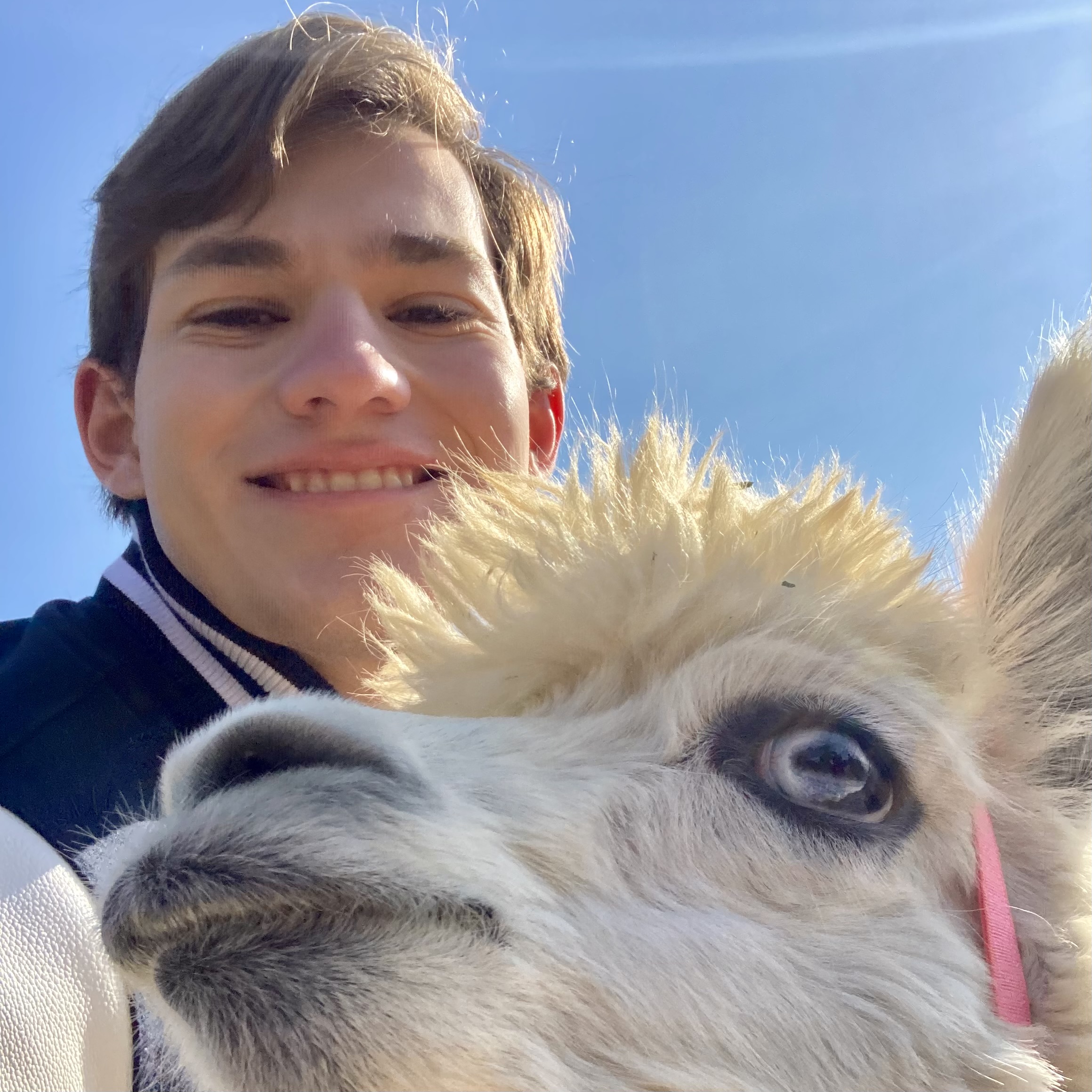 James Tutors - Personalized CS Tutoring